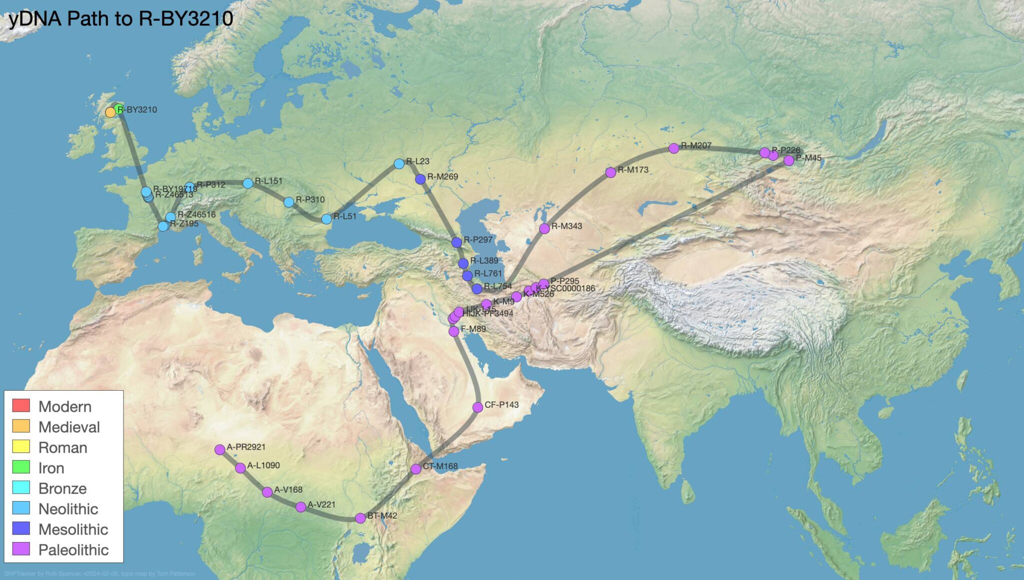 A Beginner’s Guide to Y-DNA testing - The Associated Clan MacLeod Societies