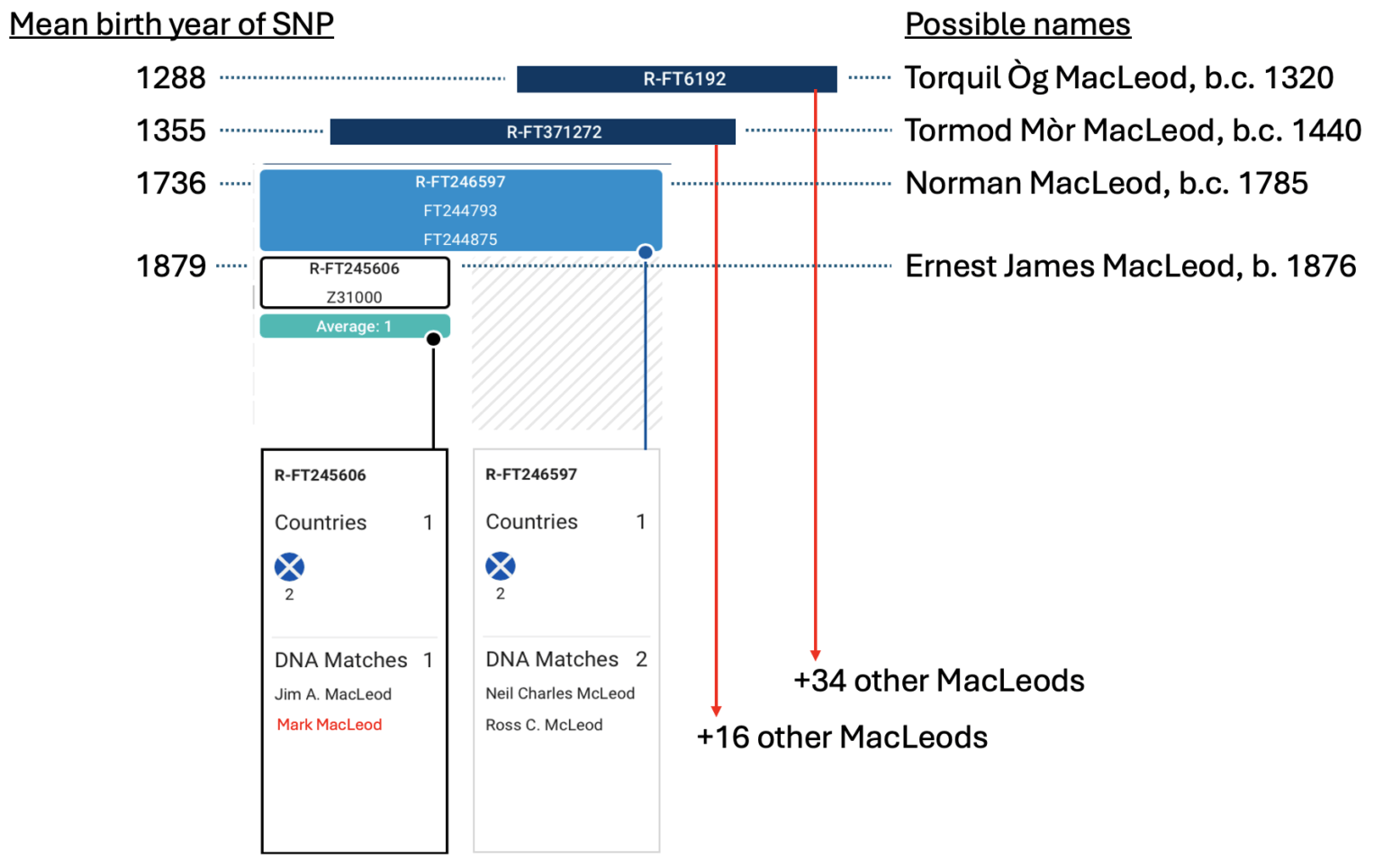A Beginner’s Guide to Y-DNA testing - The Associated Clan MacLeod Societies