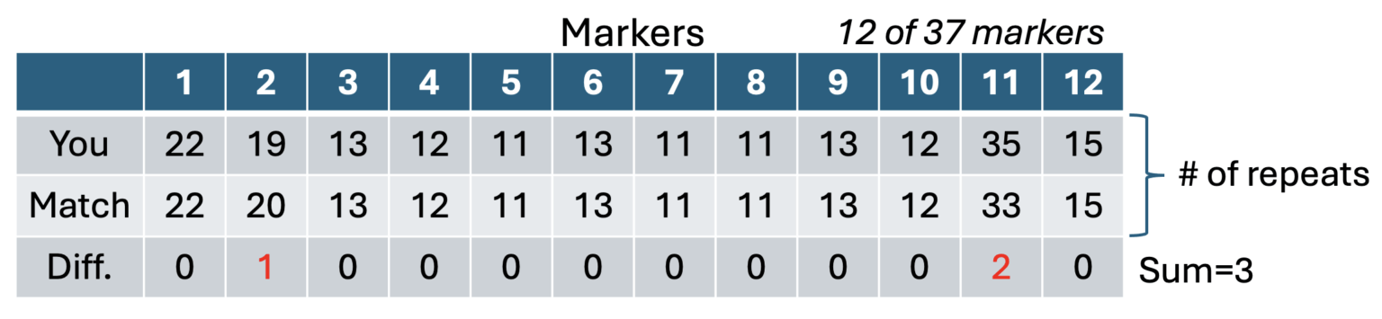 A Beginner’s Guide to Y-DNA testing - The Associated Clan MacLeod Societies